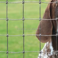 China Galvanized 5-8 ft Fixed Knot Deer Cattle Fence on Farm Field Metal Farm Fencing for Farm for sale