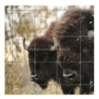 China Hot Dip Galvanized 0.7mm Hexagonal Mesh for Security Fence and Field Farm Animal Fence for sale