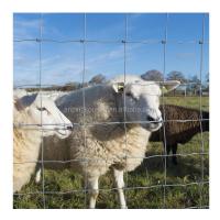 China Hot Dip Galvanized 0.7mm Hexagonal Mesh for Security Fence and Field Farm Animal Fence for sale