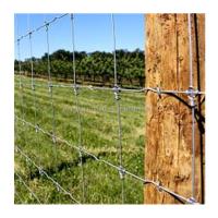 China Pressure Treated Timbers Chicken Fencing for Chicken Coops in Commercial Chicken Farms for sale
