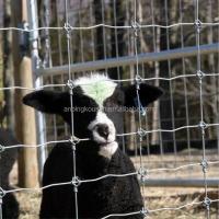 China Livestock Panels Heat Treated Pressure Treated Wood Type Fence Rails for Farm Fencing for sale