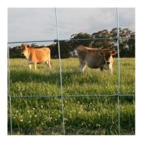 China Powder Coated Frame Galvanized Field Fence for 6ft 8ft Cattle and Goat Enclosures for sale