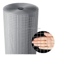 China 0.4-2.5m Width 1/4 Inch Hot Dipped Galvanized Welded Wire Mesh with 2-5mm Wire Gauge for sale