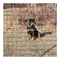 China 1mx30m Welded Mesh Cages for Chicken Galvanized and Pvc Coated Budget-friendly Choice for sale