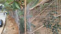 China Square or Rectangle Hole Zinc Coated Wire Mesh Galvanized Bird Cage for Fence Mesh for sale