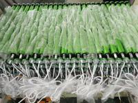 China WHOLESALE AWNING MOTOR ROLLER TUBULAR MOTORS FOR MOTORIZED SHADES for sale