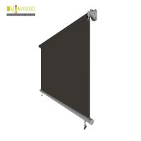 China Vertical Window Retractable Awning Remote Courtyard Rolling Curtains for sale