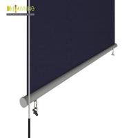 China Vertical Window Retractable Awning Remote Courtyard Rolling Curtains for sale