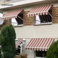 China Outdoor Aluminium Remote Control Patio Awning Heavy Duty Drop Arm Window Awnings for sale