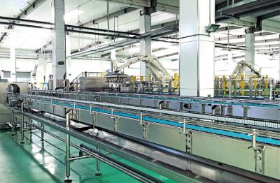 China Coconut Mineral Water Bottle Filling & Capping Machine - Complete Packaging Plant with Automated Conveyor Systems for sale