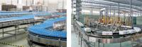 China Coconut Mineral Water Bottle Filling & Capping Machine - Complete Packaging Plant with Automated Conveyor Systems for sale