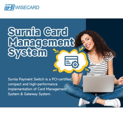 China Web Based Card Management System PCI PA DSS Secure GUI Card Tracking Software for sale