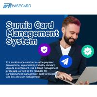 China Modular And Scalable PCI PA DSS Card Management System With English Language Customization for sale