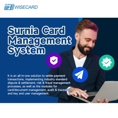 China Modular And Scalable PCI PA DSS Card Management System With English Language Customization for sale