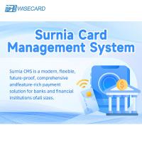 China Scalable Card Management System With Automated Alerts English GUI Web Based Platform for sale