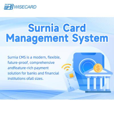 China Scalable Card Management System With Automated Alerts English GUI Web Based Platform for sale