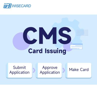 China Wisecard Card Management System WCT-CMS PCI PA DSS Web Based Secure Card Administration Tool for sale