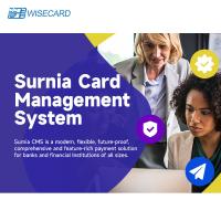 China Wisecard WCT-CMS Card Management System with Automated Alerts and Encryption for sale