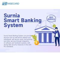 China Wisecard Smartbanking System with 3-Month Warranty - Web-Based B/S Architecture for Payment Switching & Card Issuance for sale