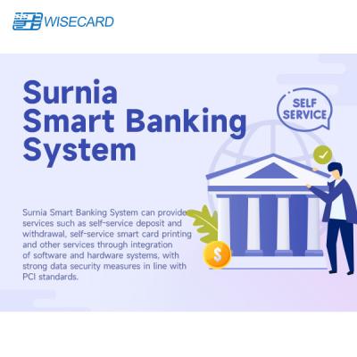 China Wisecard Smartbanking System with 3-Month Warranty - Web-Based B/S Architecture for Payment Switching & Card Issuance for sale