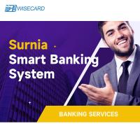 China Wisecard Smartbanking System - Web-Based Banking Solution with 3-Month Warranty for Financial Institutions for sale