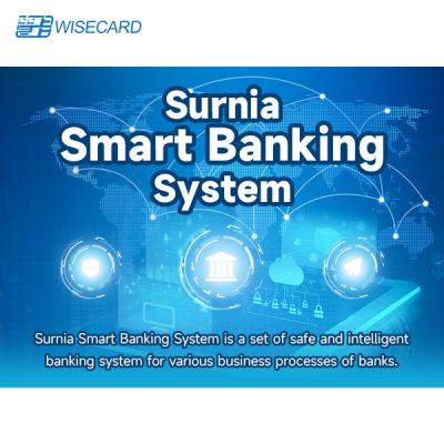 China Wisecard Smartbanking System - Web-Based B/S Structure with 3-Month Warranty for Banking & Financial Institutions for sale