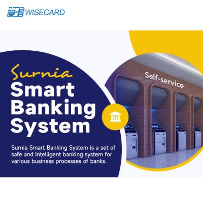 China Wisecard Smart Banking System - Web-Based Payment Switch with 3-Month Warranty for Financial Institutions for sale