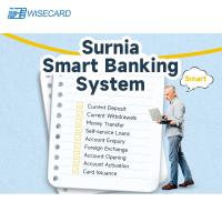 China Wisecard Smartbanking System - Web-Based Payment Switch & Card Issuance Platform with 3-Month Warranty for Financial Institutions for sale