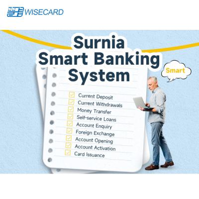 China Wisecard Smartbanking System - Web-Based Payment Switch & Card Issuance Platform with 3-Month Warranty for Financial Institutions for sale