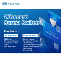 China Web Based Payment Switch System PCI Certified Customizable for Card Schemes Visa MasterCard for sale