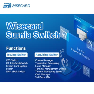 China Web Based Payment Switch System PCI Certified Customizable for Card Schemes Visa MasterCard for sale