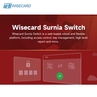 China Wisecard Surnia Switch PCI Certified Payment Switch with Microservice Architecture for sale