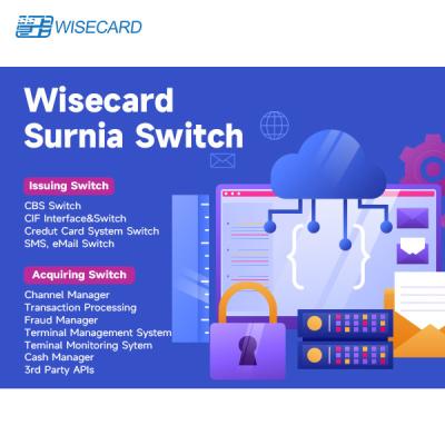 China Surnia Switch Platform Modular Payment Switch PCI Certified for ATM POS Kiosk for sale