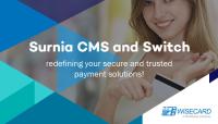 China Surnie CMS All-in-One Payment Security System with PADSS Compliance and Microservices Architecture for Banking for sale