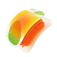 China Comfortable Body Warming Patch ODM For Toes Cold Feet Relief for sale
