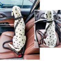 China Nylon Neoprene Padded Strong Dog Lead Soft Handle Shock Absorbing Bungee Dog Harness for sale