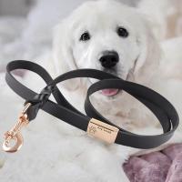 China Anti - Slip Soft Material Dog Collar Leash Decorative Pattern Pet Supplies Waterproof Dog Chain for sale