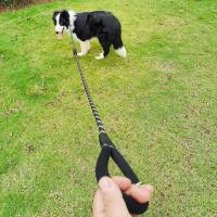 China Integrated Pet Collar Leash Cotton Explosion Proof Dash Dog Rope Lengthen Choke Chain for sale