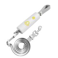 China ODM Corgi Pet Collar Leash For Small And Medium Sized Dogs for sale