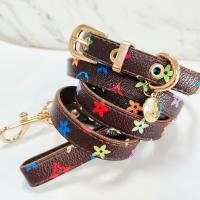 China Eco Friendly Pet Collar Presbyterian Fur Teddy Schnauzer Dog Collar Leash Set for sale