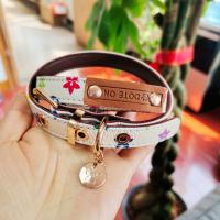 China Eco Friendly Pet Collar Presbyterian Fur Teddy Schnauzer Dog Collar Leash Set for sale