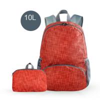 China ODM Ultra Light 20L Water Resistant Polyester Backpack for sale