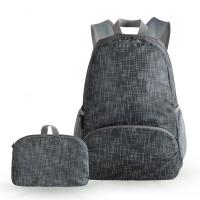 China ODM Ultra Light 20L Water Resistant Polyester Backpack for sale