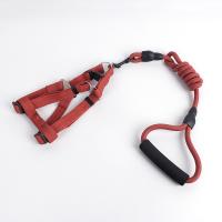 China Medium Size Adjustable Nylon Dog Leash And Harness for sale