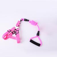 China Medium Size Adjustable Nylon Dog Leash And Harness for sale