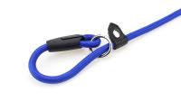 China Padded Pet Collar Leash Braided Tow Rope For Walking for sale