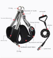 China L-XXXXL Easy Release Breathable Pet Collar Leash For Traning / Running for sale