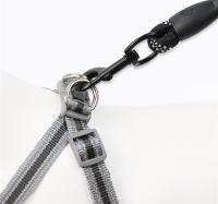 China L-XXXXL Easy Release Breathable Pet Collar Leash For Traning / Running for sale