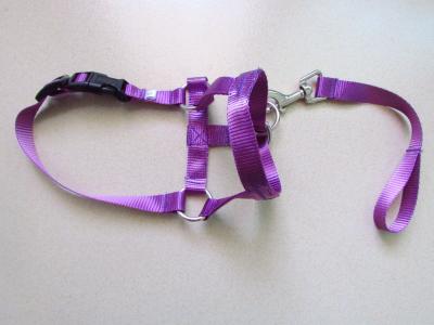China Nylon Braided Soft Muzzle For Dogs Anti Bark Multi Color for sale