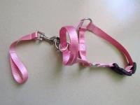 China Nylon Braided Soft Muzzle For Dogs Anti Bark Multi Color for sale